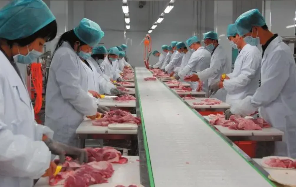 Os 100g 200g 300g 500g 1000g Industrial Ozone Generator Water Purifier ...