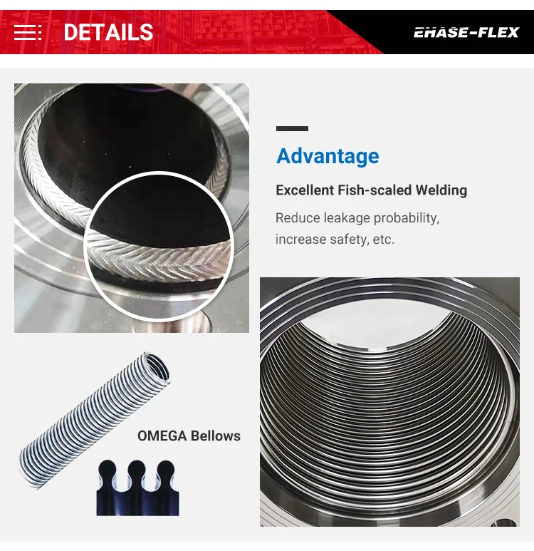 Lateral Movement Stainless Steel Flexible Pipe Fittings