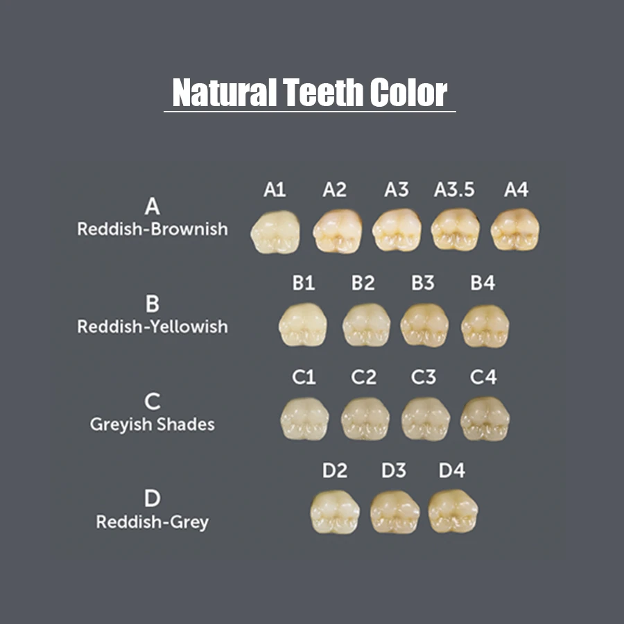 3d Pro Aesthetic Restoration Cad Cam White Zirconia Block Multilayer ...