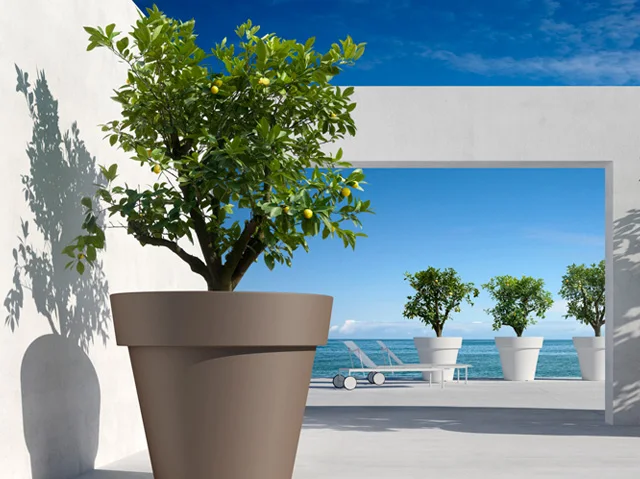 Shop Durable, Lightweight Fiberglass Planters for Gardens