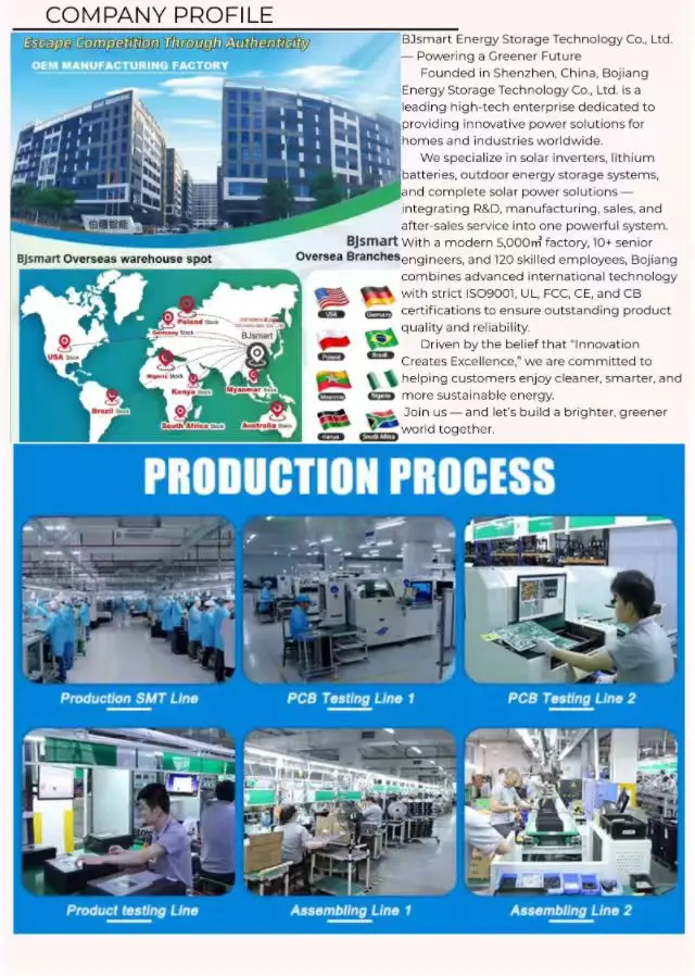 High-Quality LiFePO4 Portable Batteries: 1200W Low-Temperature ...