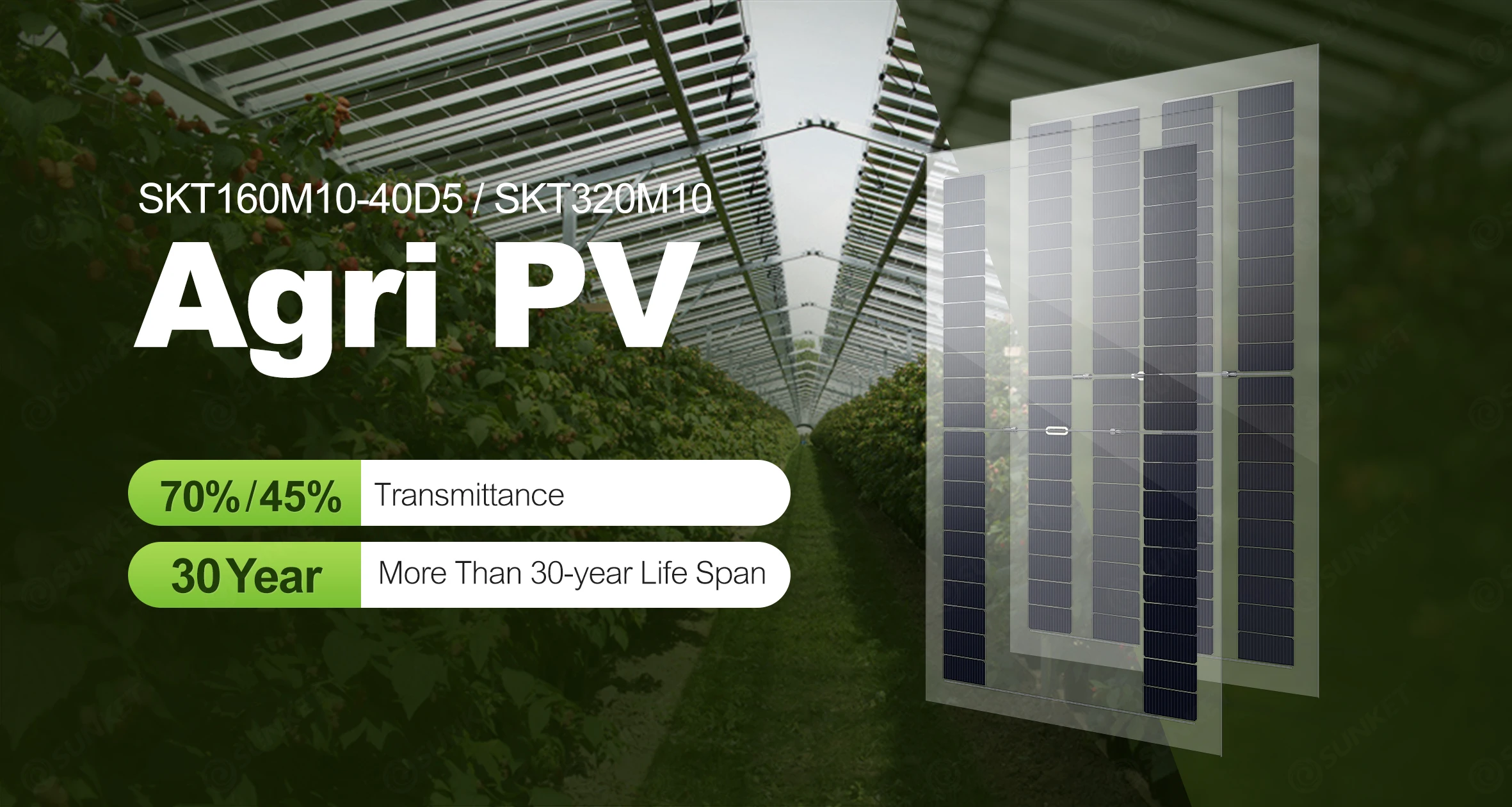 Sunket Greenhouse Agricultural Agrivoltaic Solar Systems