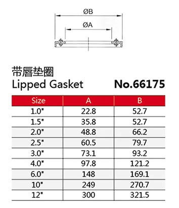 DN40 Food-Grade Sanitary Tri-Clamp Ferrule Gasket