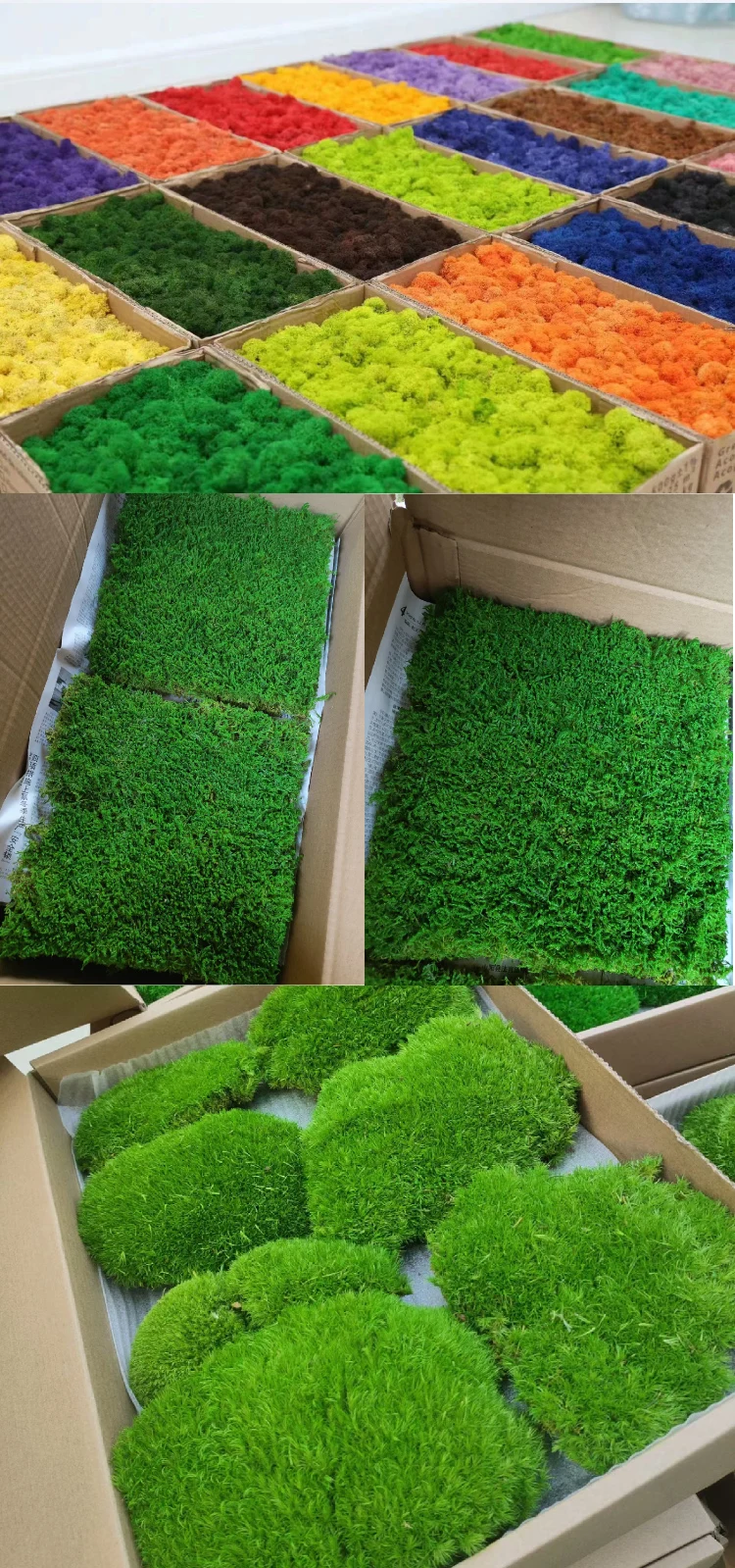 Customized Moss Wall Art - High Quality & Realistic Decor