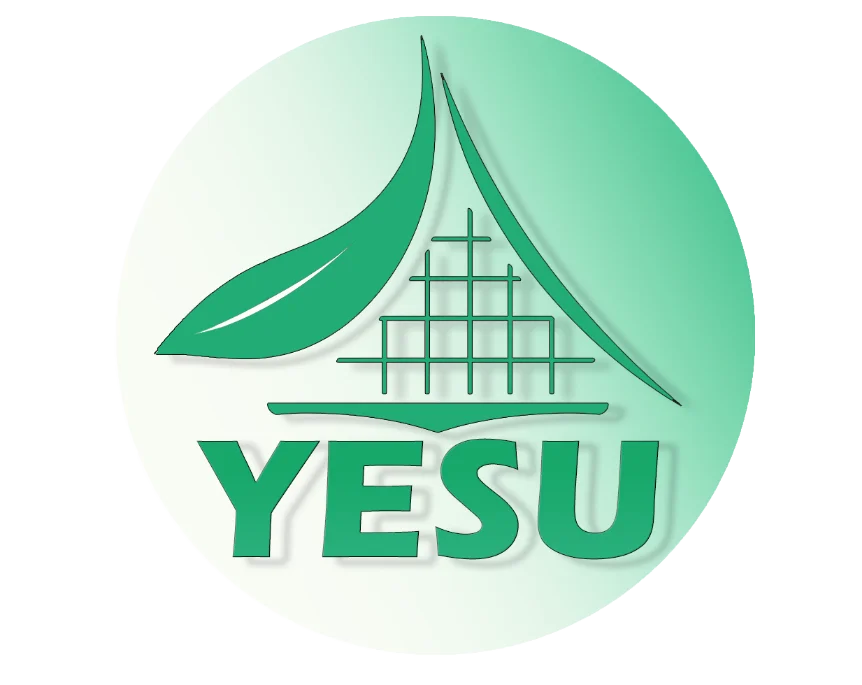 Company Overview - Ye Su (Xiamen) Technology Co., LTD