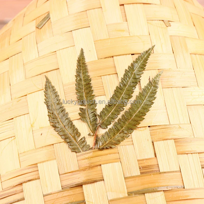 Shop Our Chinese Bamboo Hat - Perfect for Cosplay & Sun Protection