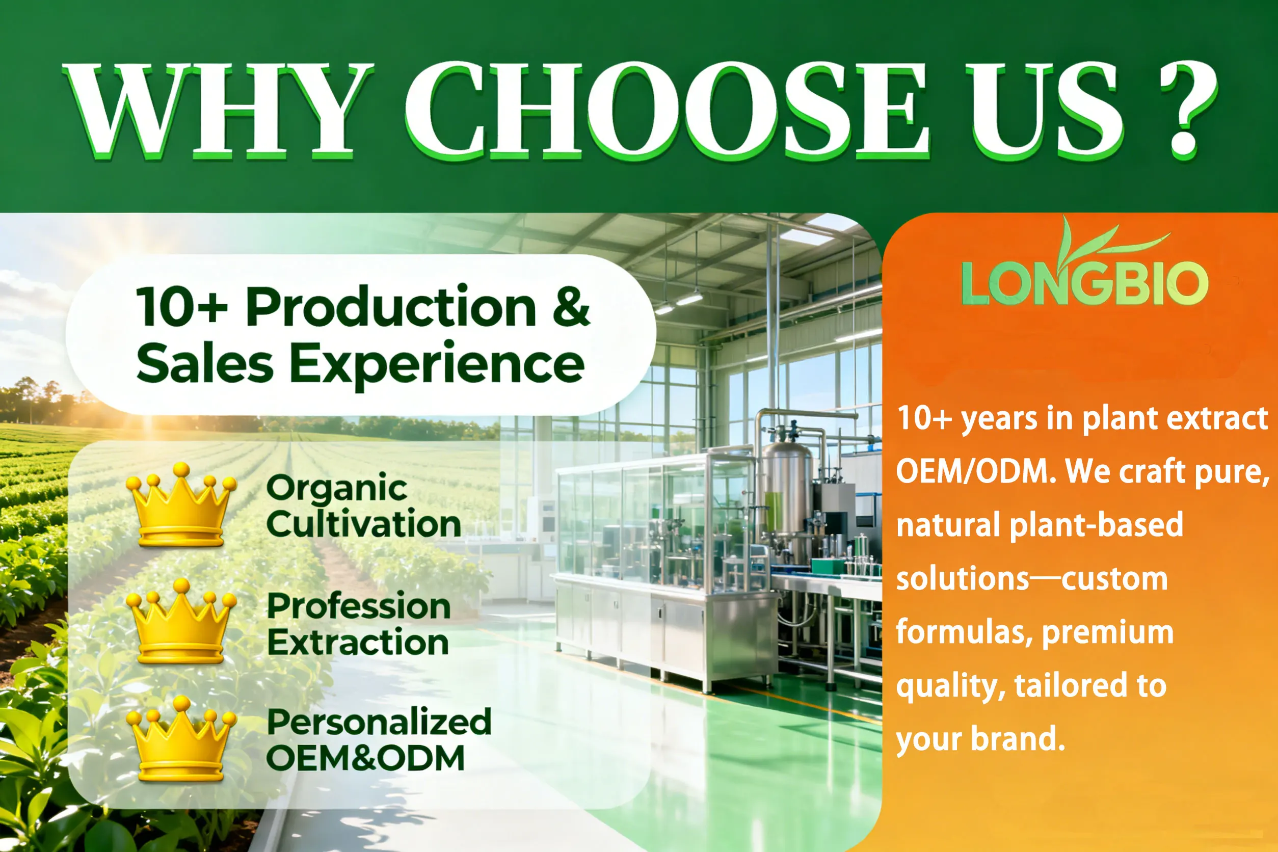 Longsheng 1% 2% 5% 10% HPLC 1-Deoxynojirimycin Dnj Powder ...