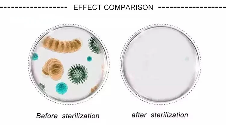 Mini Retort Autoclave - High Safety & Efficiency