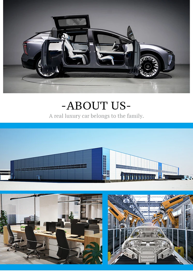 Hipi X运动型轿车2022 2021白色标签高和调谐高性能中国制造高速200千米/h 705千米 - Buy Hipho X 4座 ...