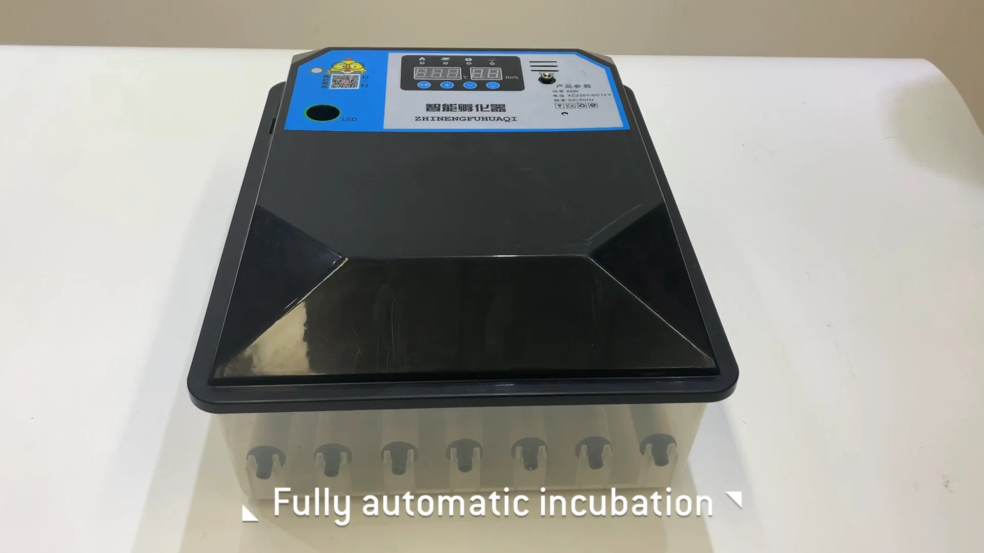 Home Use 12v Mini 36 Egg Incubators Fertile Hatching Chicken Eggs - Buy ...