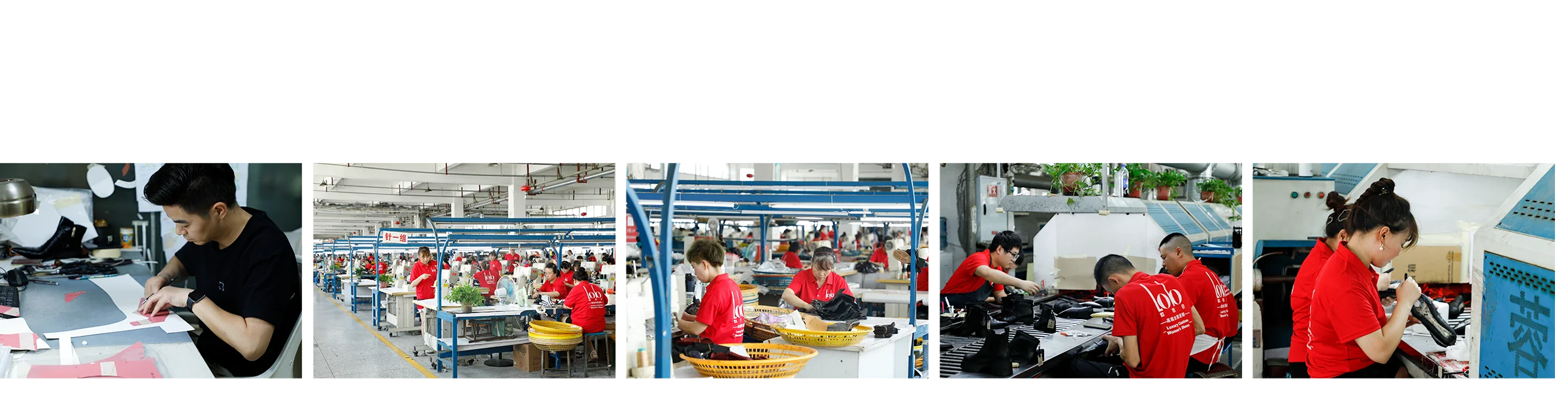 Company Overview - Chengdu Shuangliu Rixin Shoe Materials Co., Ltd.
