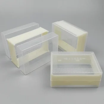 250g Honey Cassette Transparent Plastic Nest Comb Box House Beekeeping ...