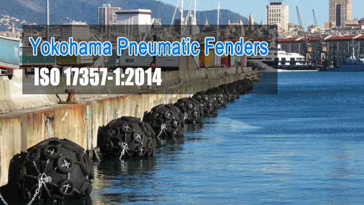 Top1 Customer Experience Trends Ccs/bv/abs/dnv/pianc Certificate 50kpa ...