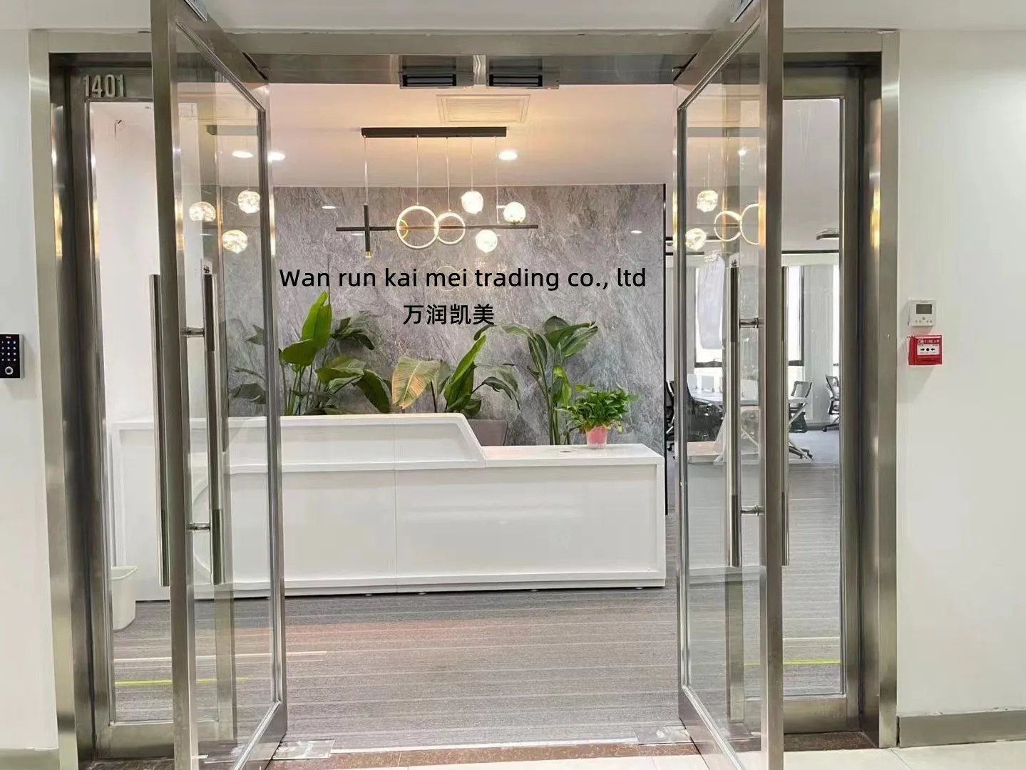 Timeless Coenzyme Q10 Serum Unisex 1 Oz Timeless Skin Care 20% Vitamin ...