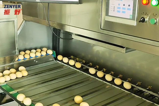 Zenyer 2024 The New Egg Grading Machine With Visual Crack Detector ...