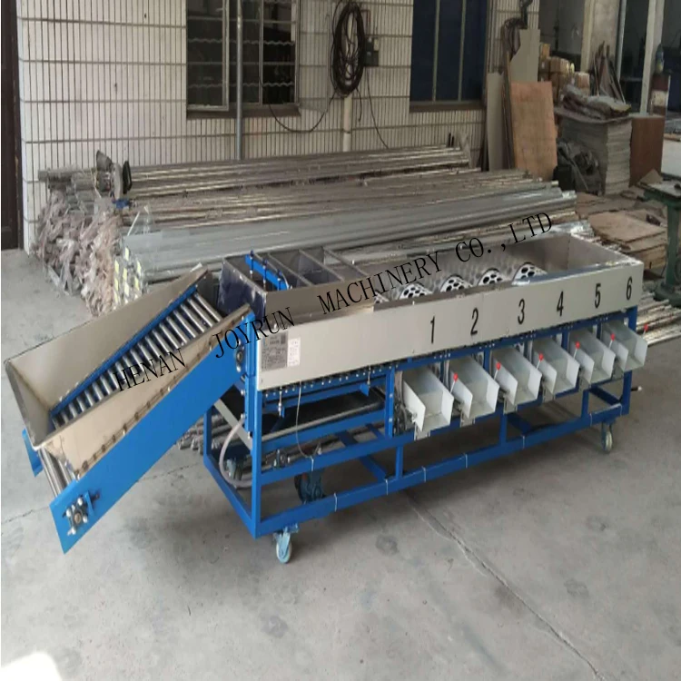 Automatic Fruit Vegetable Grader Sorter - Efficient & Reliable