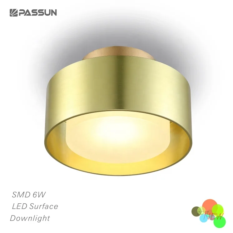 Passun New Product Aluminium Anodized Gold Ceiling Surface Mounted Led ...