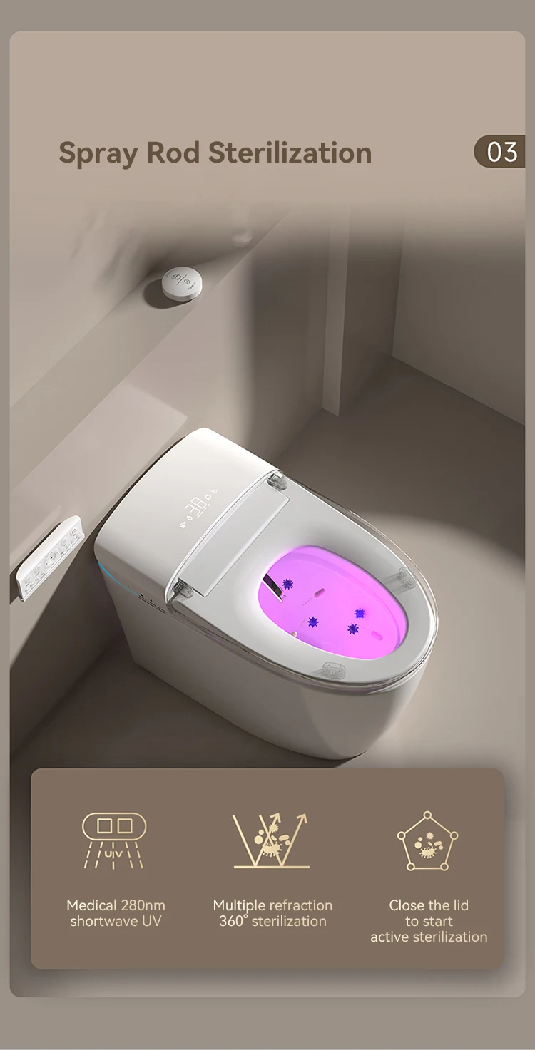 Modern Automatic Sanitary Ware Floor Mounted Auto Flush Electric Toilet ...
