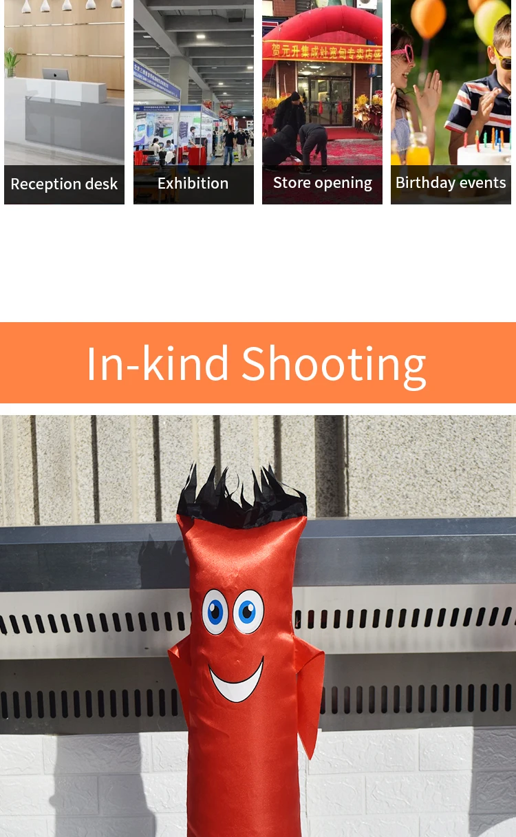 Oem Supported 110v/220v 50w Airdancer Table Top Blower Low Noise High ...