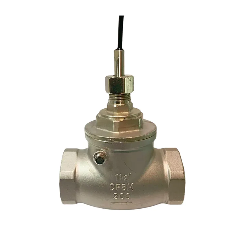 Sus304 Stainless Steel Water Flow Switch G1/g2/g1/2"/g3/4" Stainless ...
