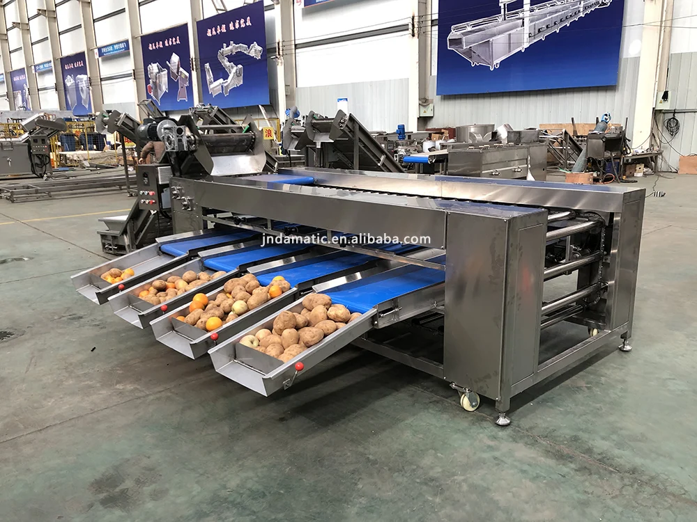Damatic Grading Machine - Efficient Fruits & Veggies Sorter