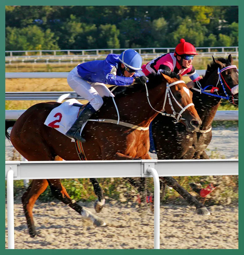 White Vinyl PVC Horse Racing Track Rail Farm Fence Usage Heat Treated ...