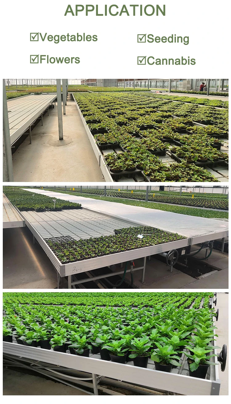 Greenhouse Hydroponics 4X8 Breeding Table - Ebb & Flood