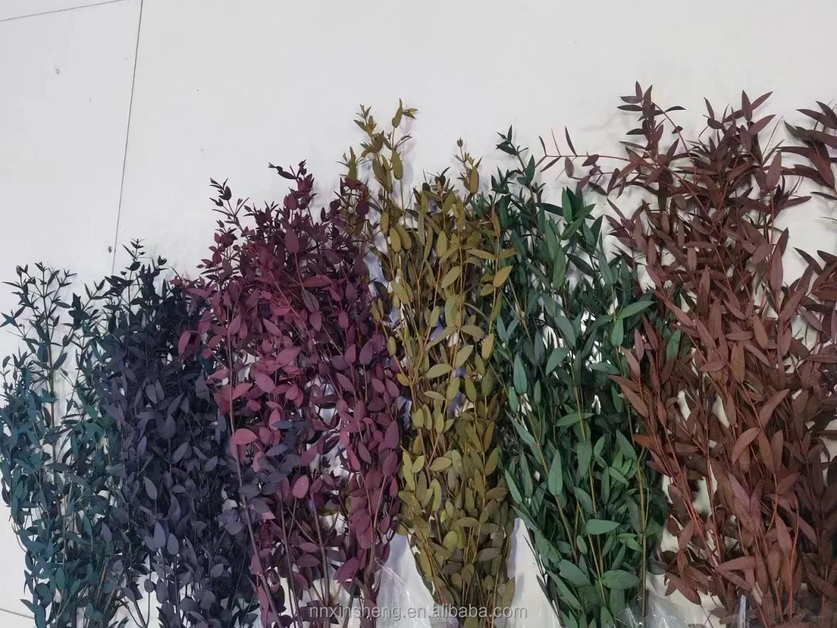 Small Leaves Eucalyptus Preserved Green Leaves Eternal Preserved Leafs ...