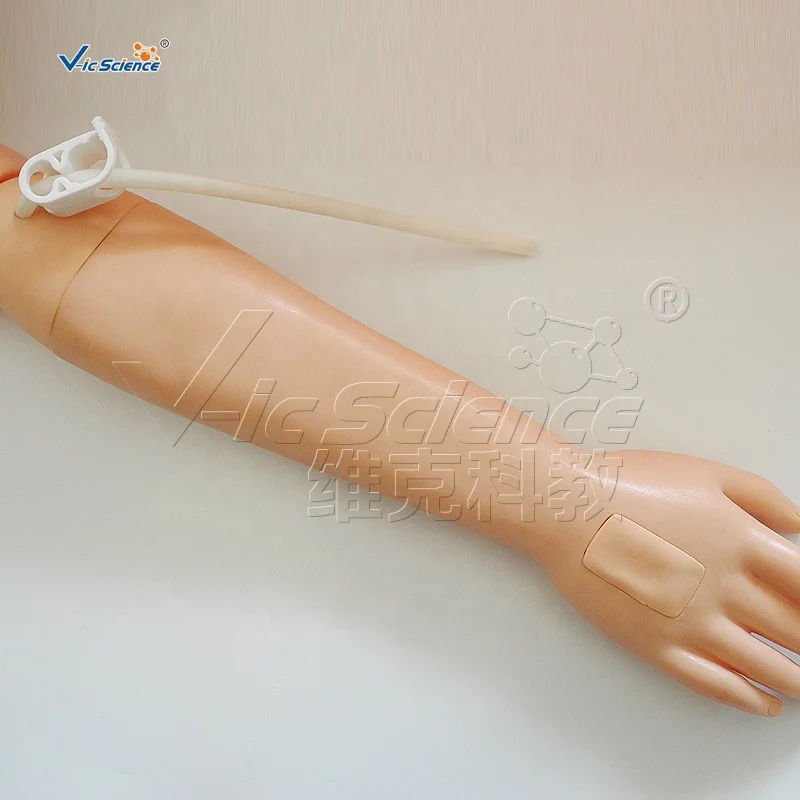 Medical Teaching Dolls - First Aid Manikins for Training