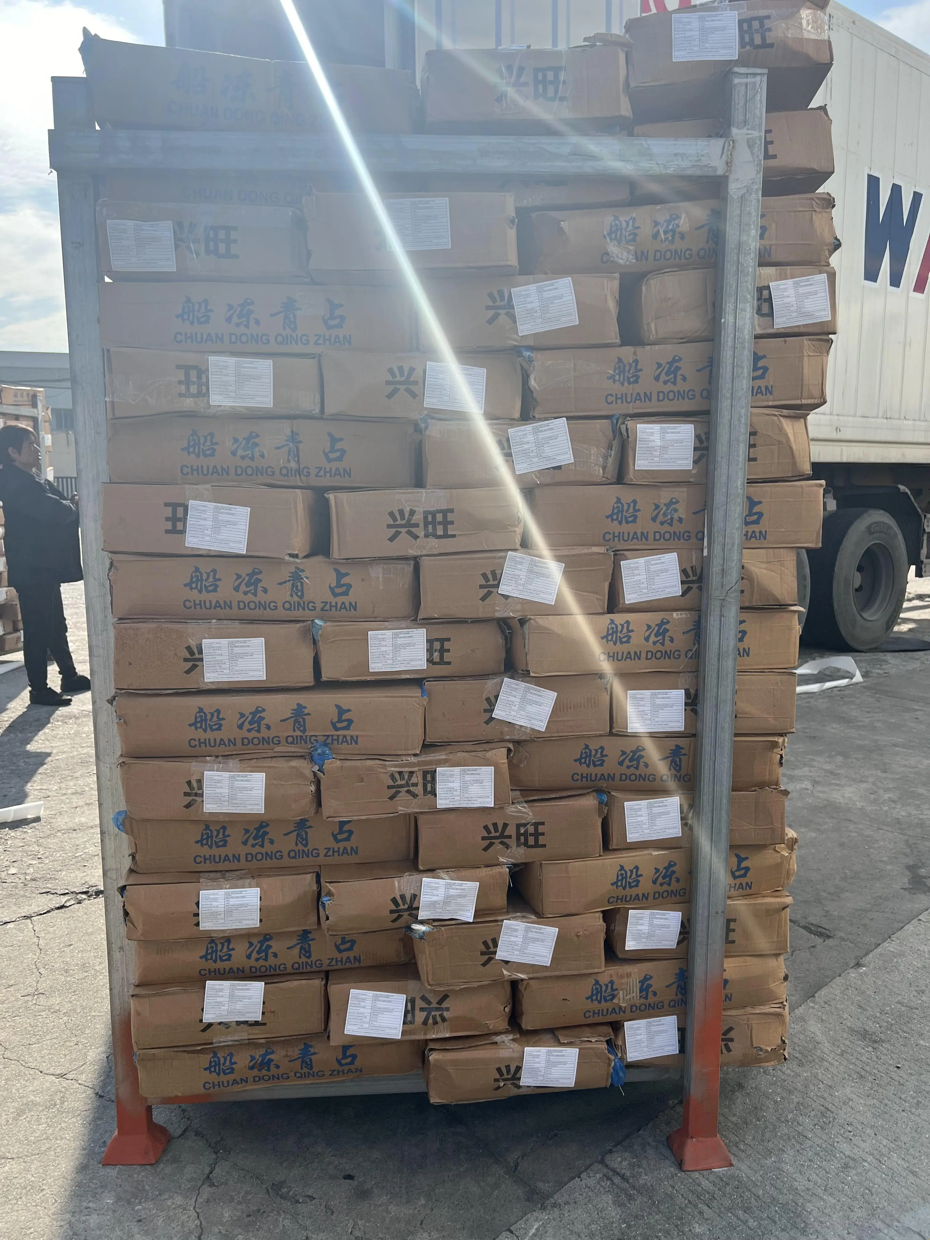 Wholesale Raw Material Fish Seafrozen Pacific Mackerel Manufacturer ...