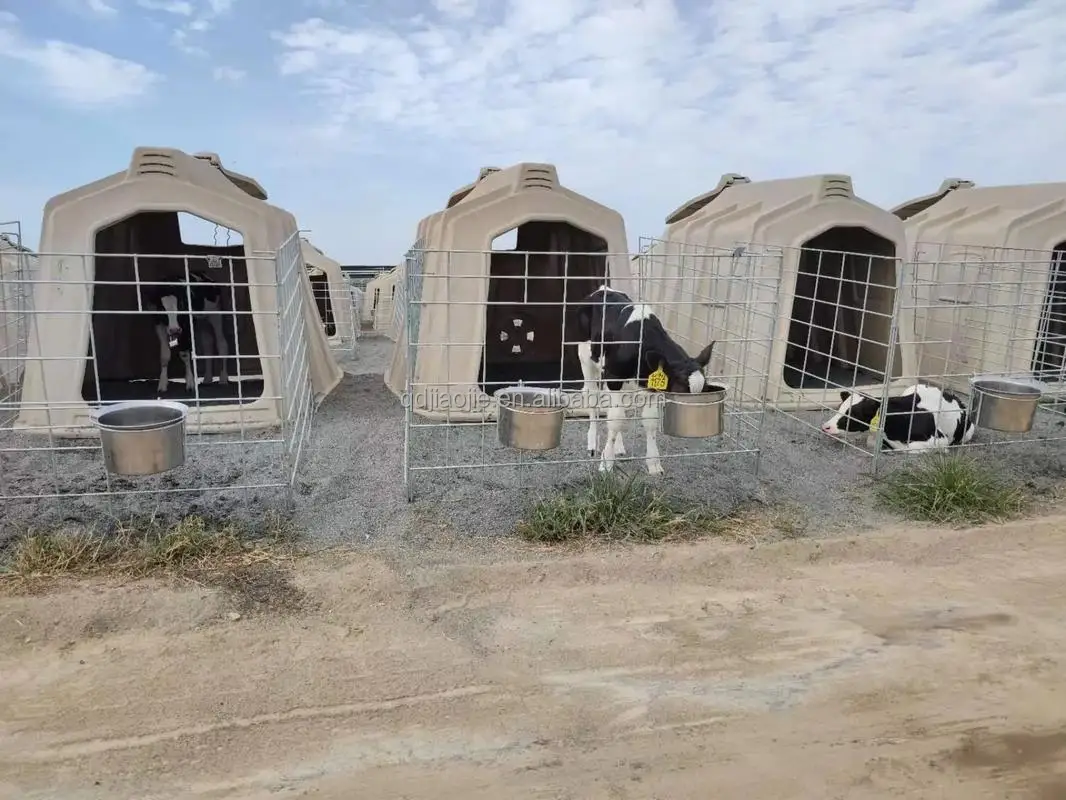 Livestock Reinforced Calf Cages - Durable & Customizable