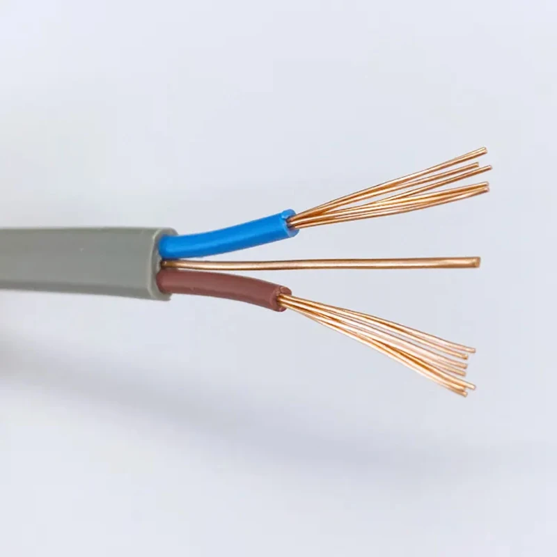 6242y Solid Copper House Wiring Flat Twin +earth Pure Copper 2.5mm ...