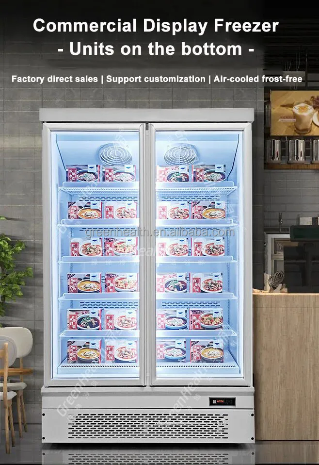Small Blast Freezer Philippines / Malaysia Commercial Ice Cream Display ...