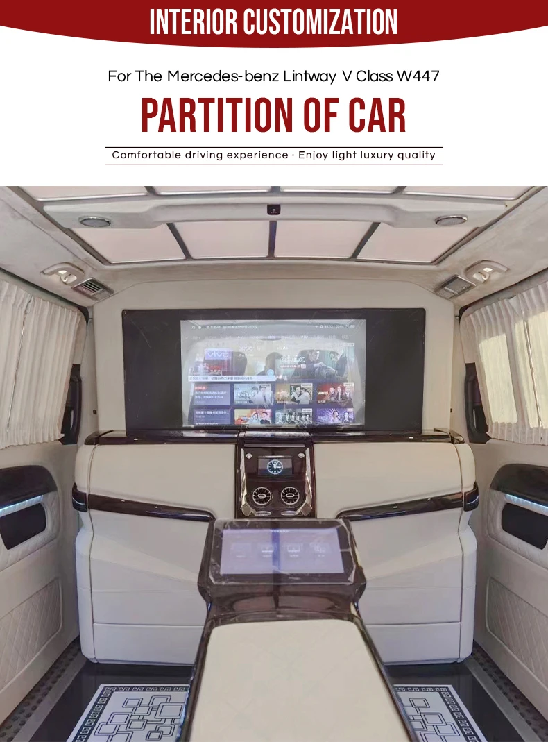 Custom Leather Interior Conversion Van Partition Tv Manufacturers ...
