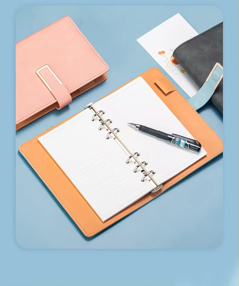 Budget Master Customized Advanced Magnetic Switch A6 Leather Money ...