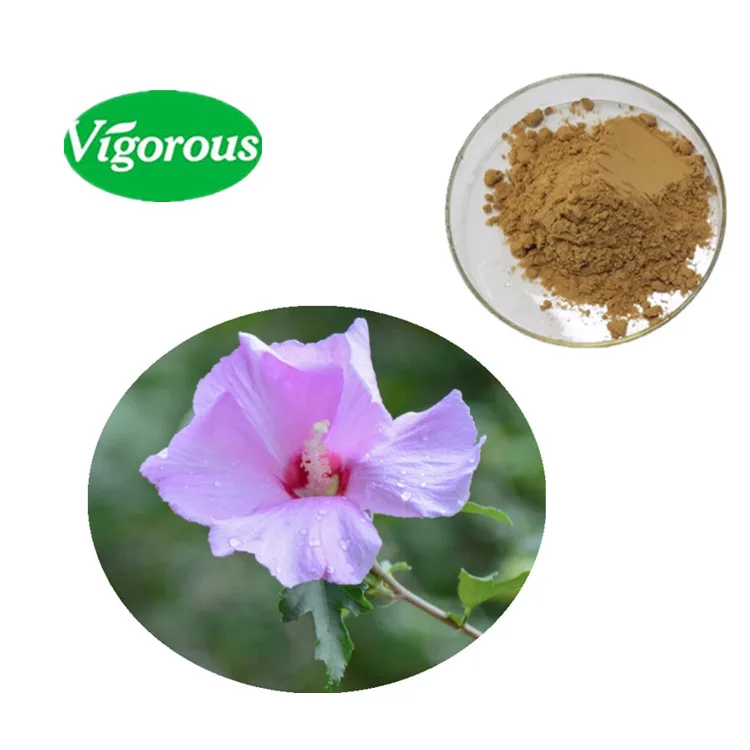 10:1 Althaea Officinalis Powder Water Soluble Organic Marshmallow Root ...