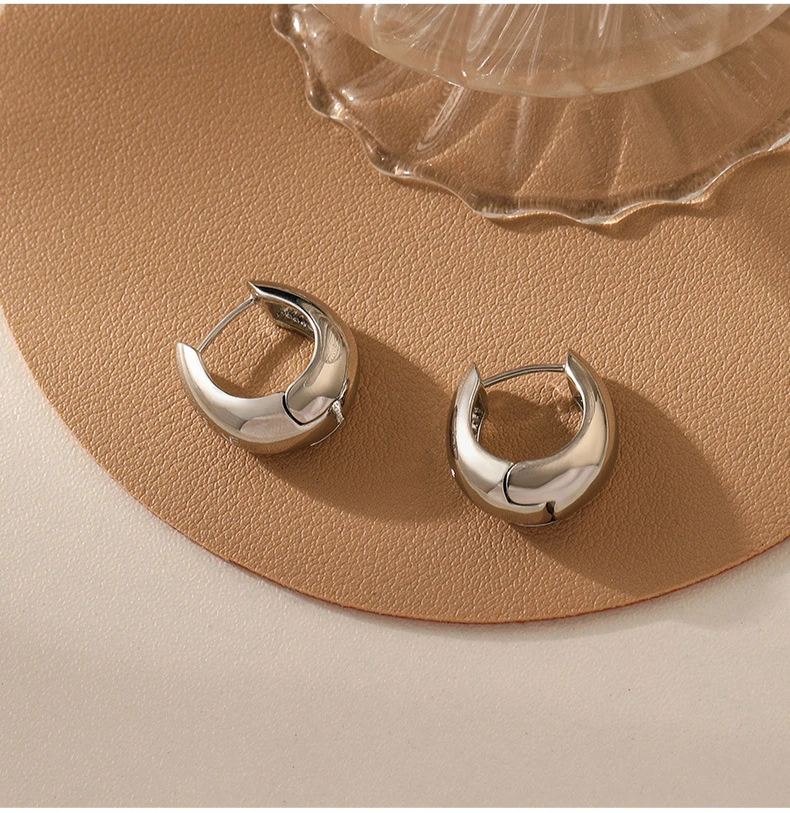 French Celi Light Luxury Minimalist Metal Circle Earring High Fashion ...