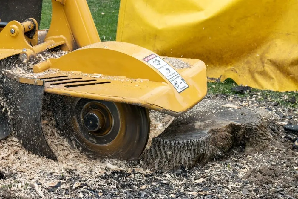 Yellow Jacket Cutting System - Durable Stump Grinder Teeth