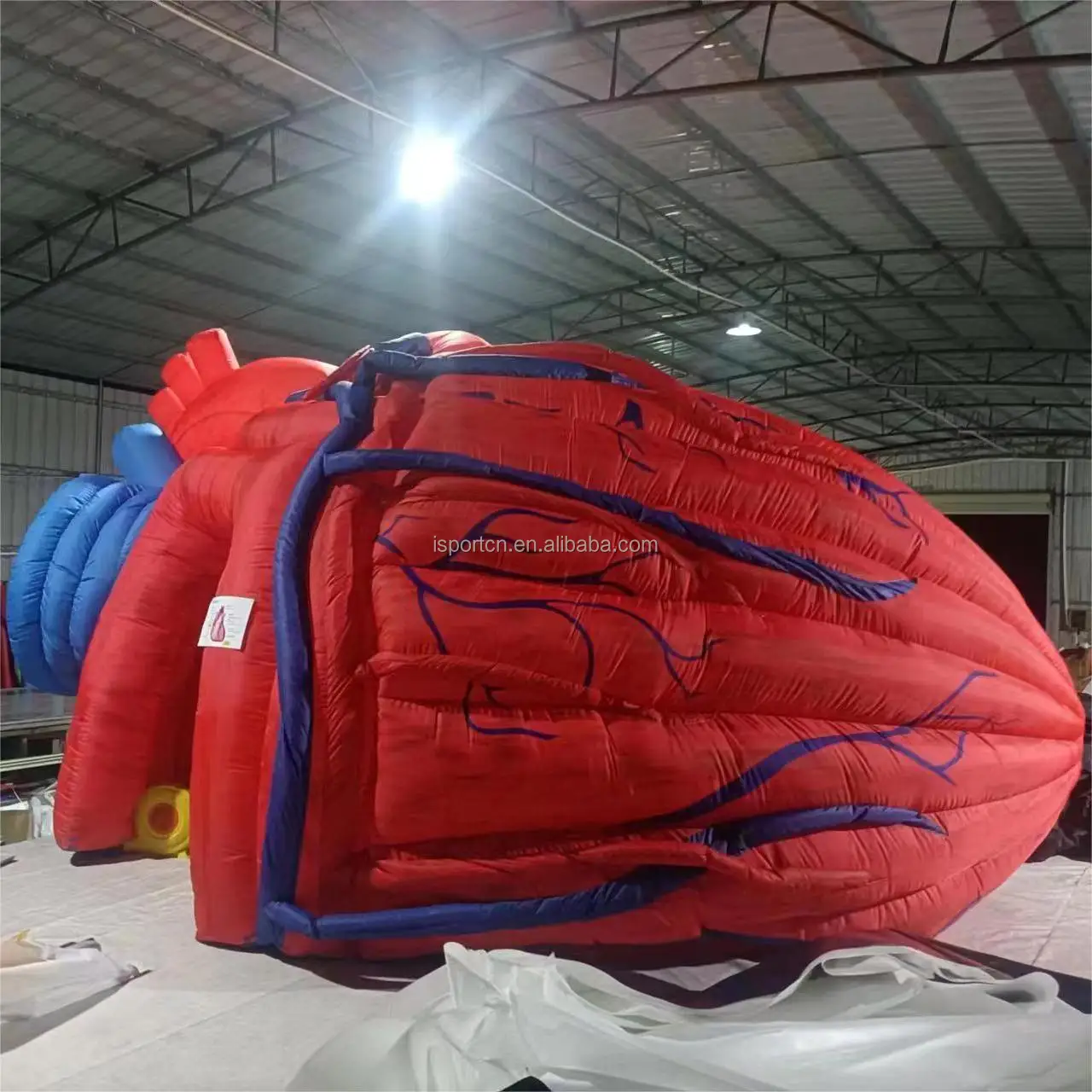 Inflatable Heart - Custom Organ Model for Outdoor Promotion