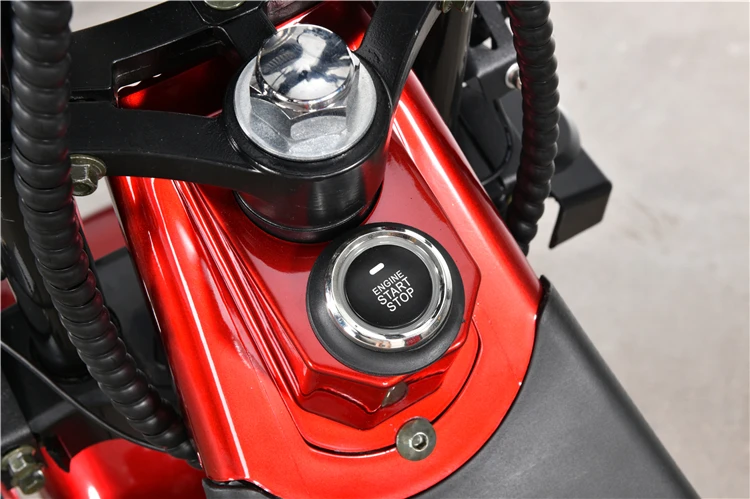 1000cc Motorcycle - 1000 Watt Electric Scooter with Cheap Price