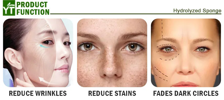 Cosmetic Material 99% Spongilla Lacustris Extract Powder Hydrolyzed ...