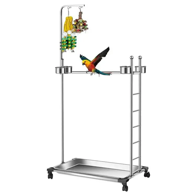 Stainless Steel Large Parrot Stand Bird Play Stand Parrot Playstand ...