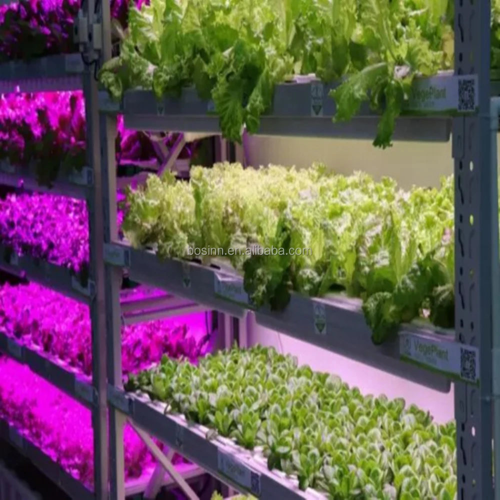 Ecosystem Vertical Hydroponic System with Grow Lights & Sensors ...