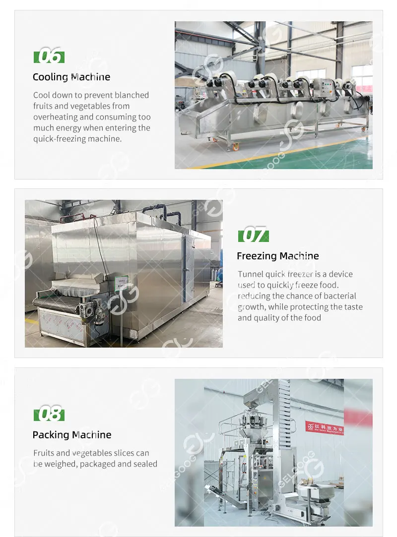 Gelgoog Cartoning Automatic Frozen Food Glazing Machine Iqf Freezer ...