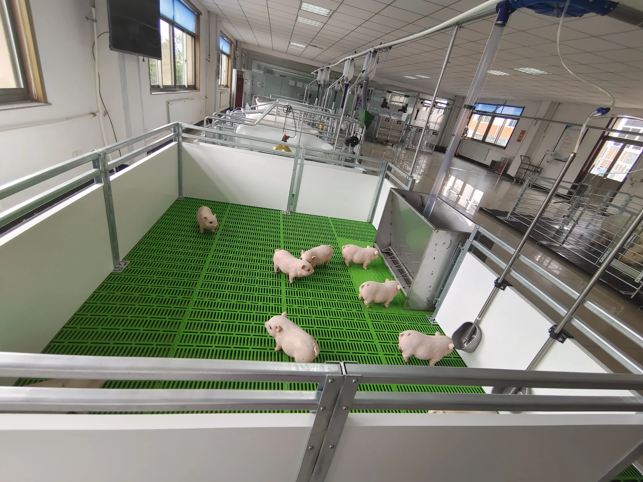 Wholesale High Quality Swine Farm Equipment Galvanized Pig Cage ...
