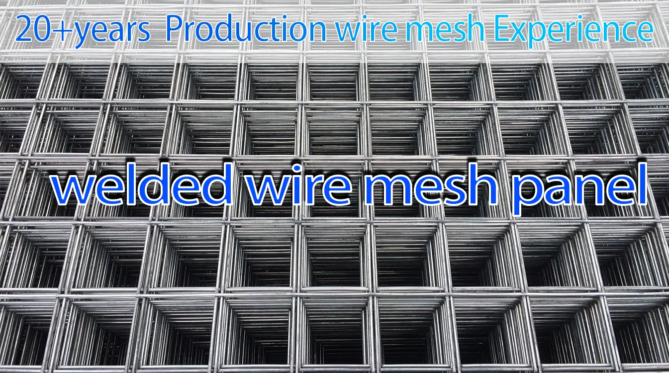 Factory Welded Wire Mesh 6x6 Concrete Reinforcing Welded Wire Mesh ...