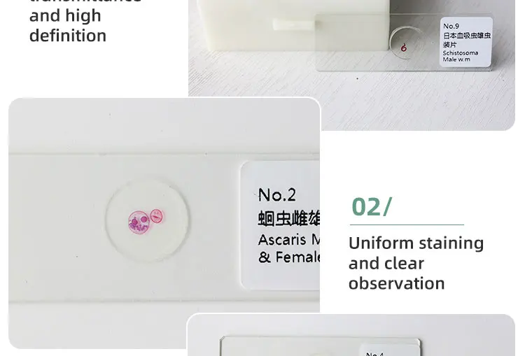 Malaria Microscope Slides for 10 Species - Educational Supply, OEM ...