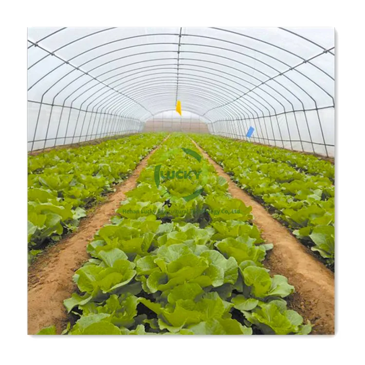 Popular Indoor Environmental Shade Nets Passive Plants Cold Frame ...