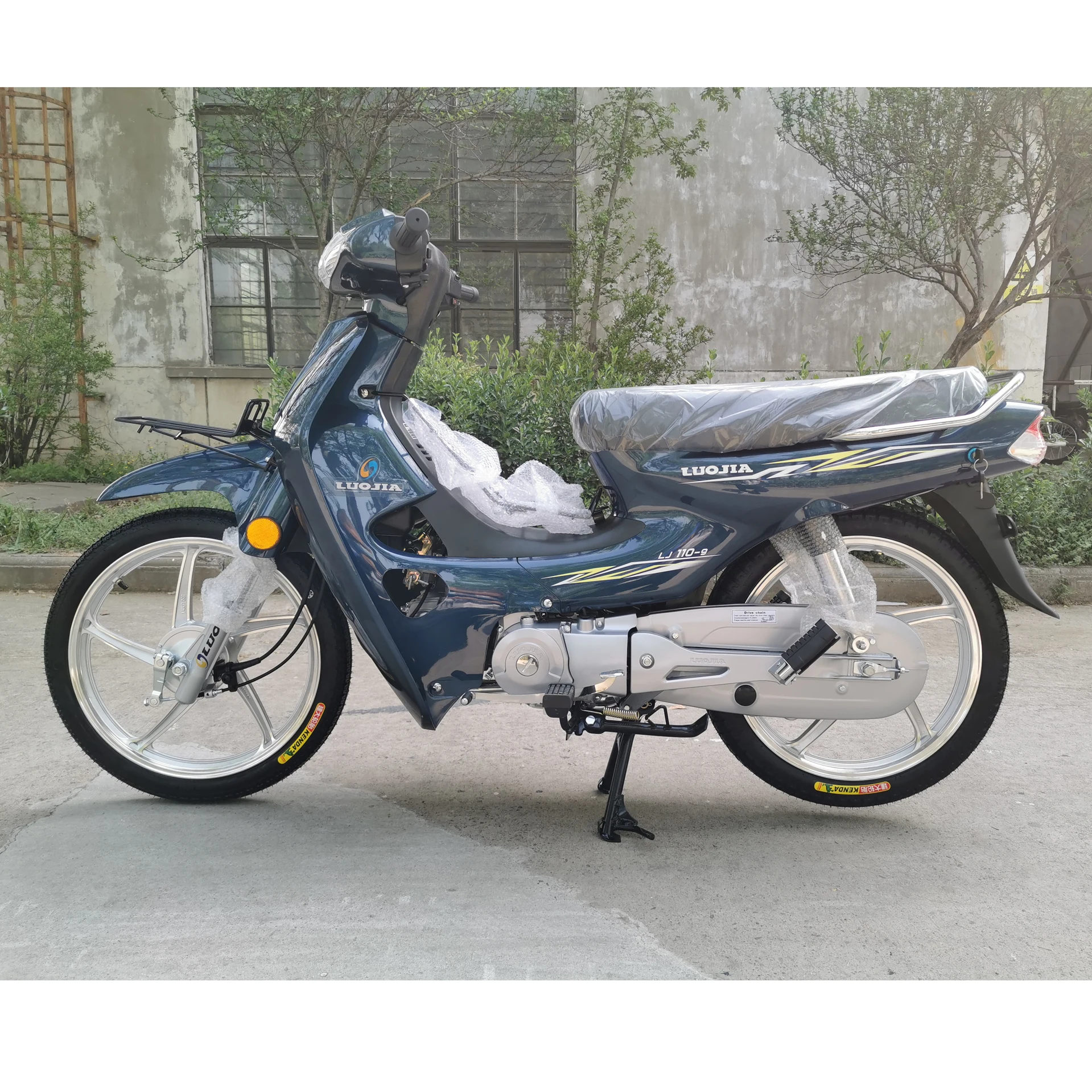 110cc Motorcycle by LUOJIA - High Performance & Reliability