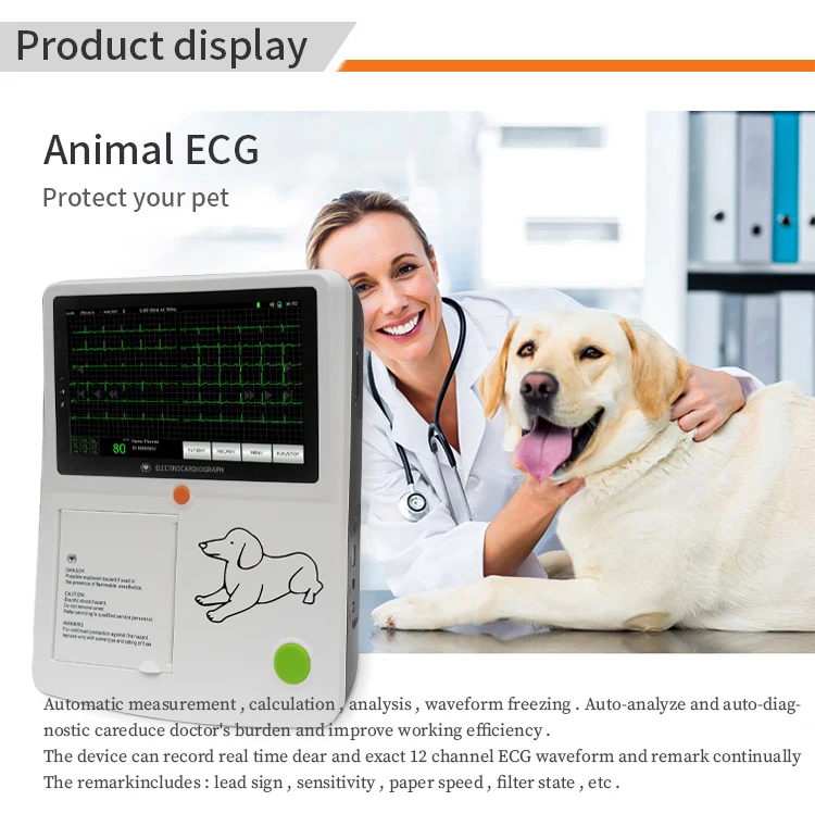 Portable Monitor Veterinary Ecg With Wire Ecg Machine 12 Channel For ...